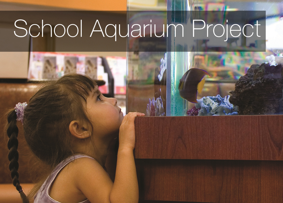 school_aquarium_project_Mobile – Current Aquatics | Aquariums & Ponds