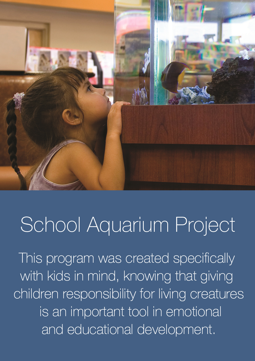 school_aquarium_project_Mobile – Current Aquatics | Aquariums & Ponds